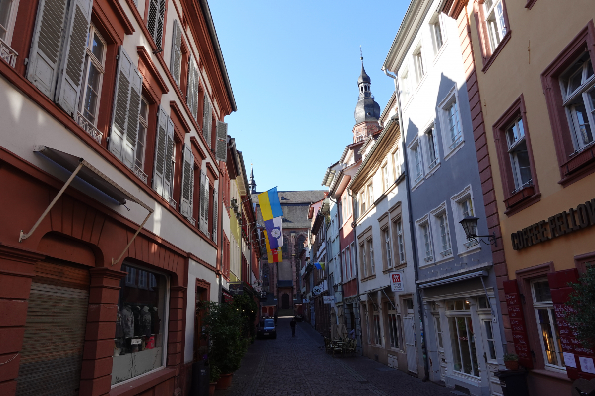 WHAT TO DO IN HEIDELBERG, GERMANY - The Fancy Explorer